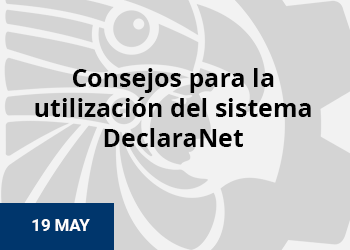 Consejos para la utilización del sistema DeclaraNet – TecNM | Campus ...