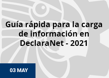 Guía rápida para la carga de información en DeclaraNet – 2021 – TecNM ...